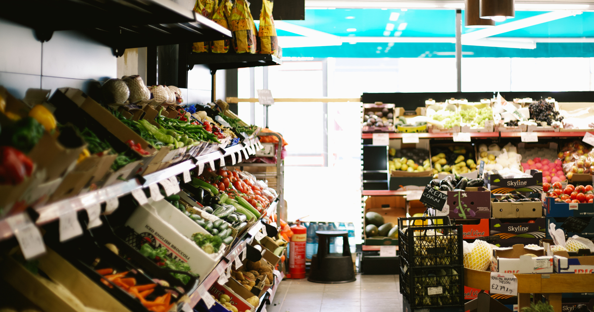 Lessons from two decades of campaigning on food poverty – Green Reporter